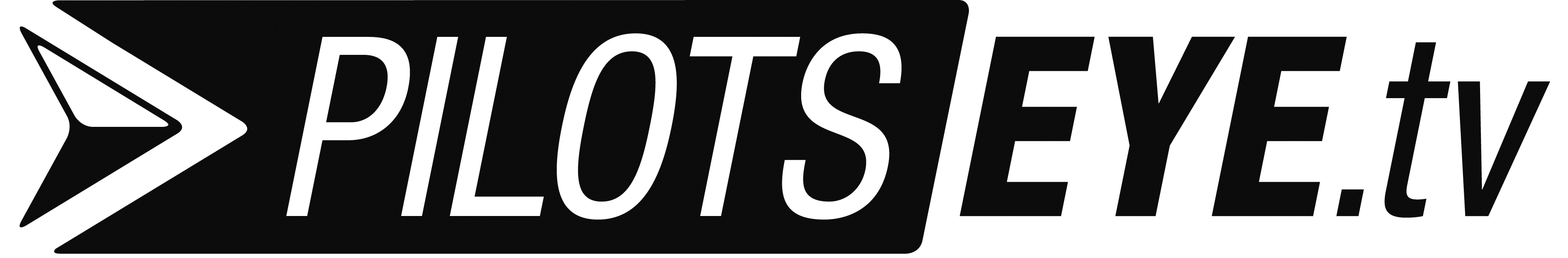 PilotsEYE from Aircraft Spruce Europe